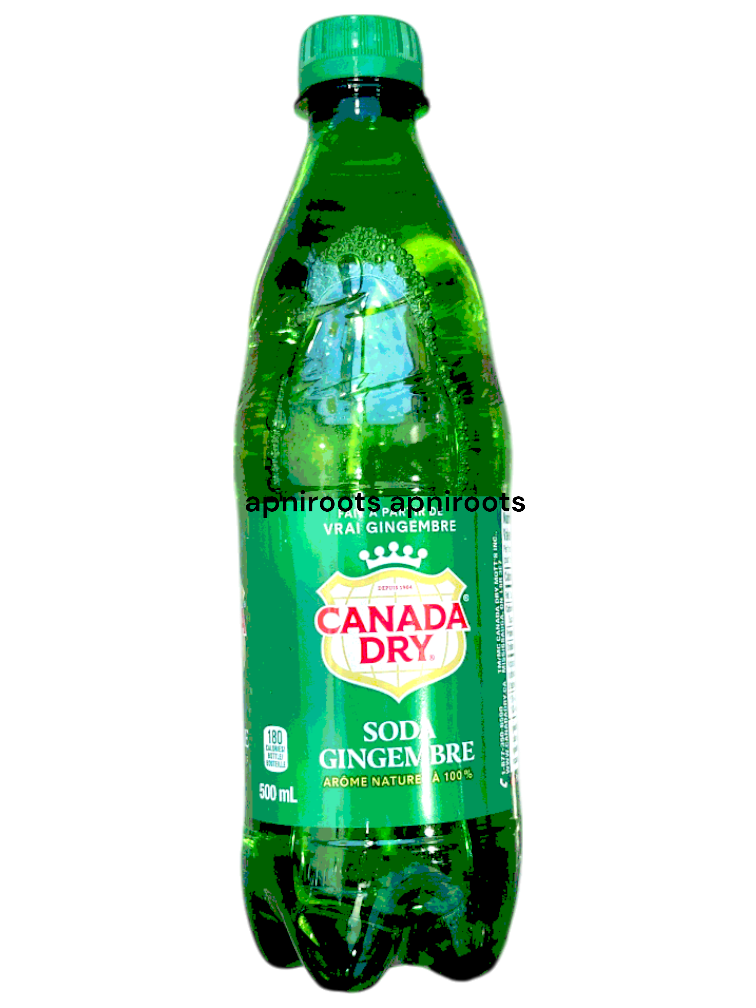 CANADA DRY GINGER ALE 500ML by at apniroots Indian Grocery Store Online – apniroots Grocery