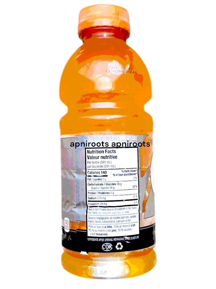GATORADE - ORANGE - 591ML by at apniroots Indian Grocery Store Online ...