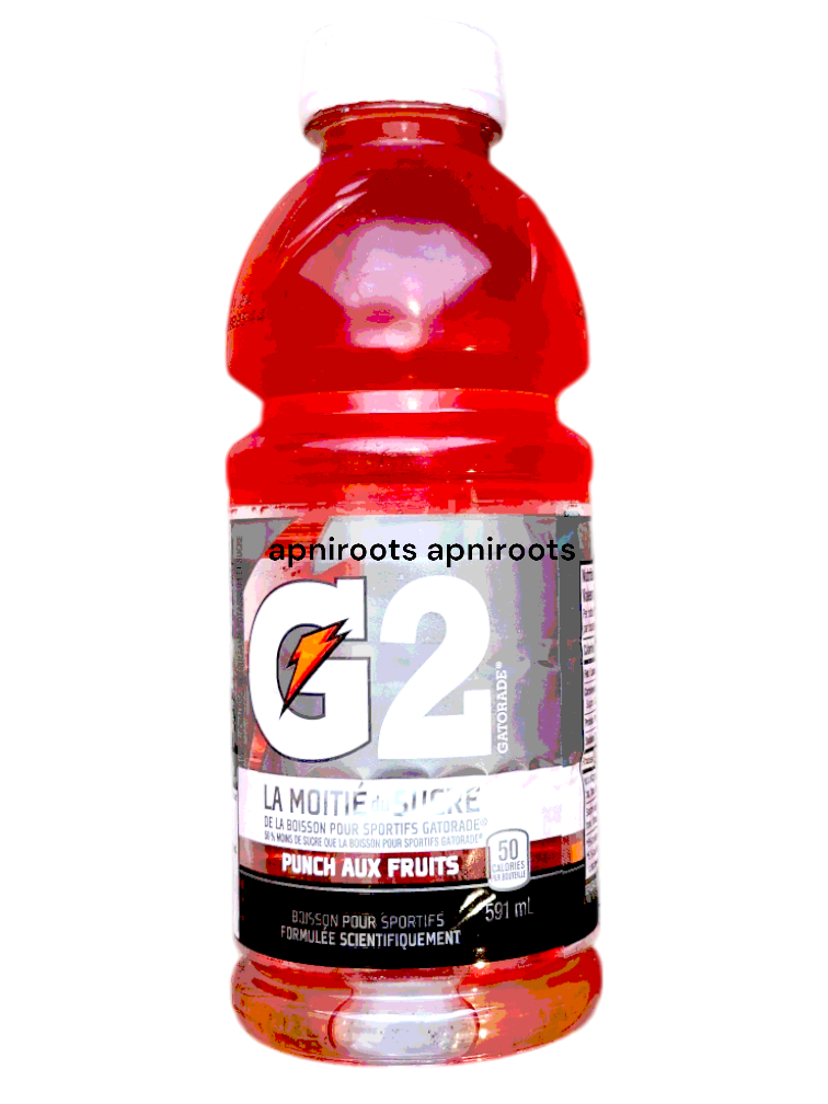 G2 FRUIT PUNCH 591ML by at apniroots Indian Grocery Store Online ...