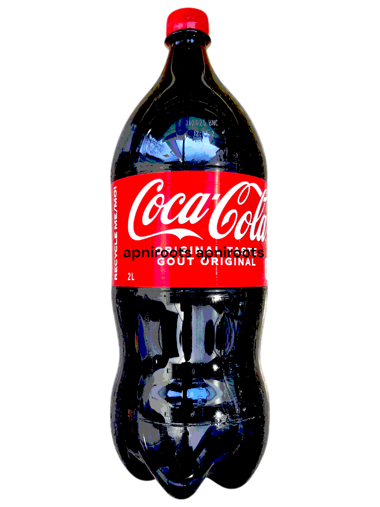 COKE 2L by at apniroots Indian Grocery Store Online – apniroots Grocery