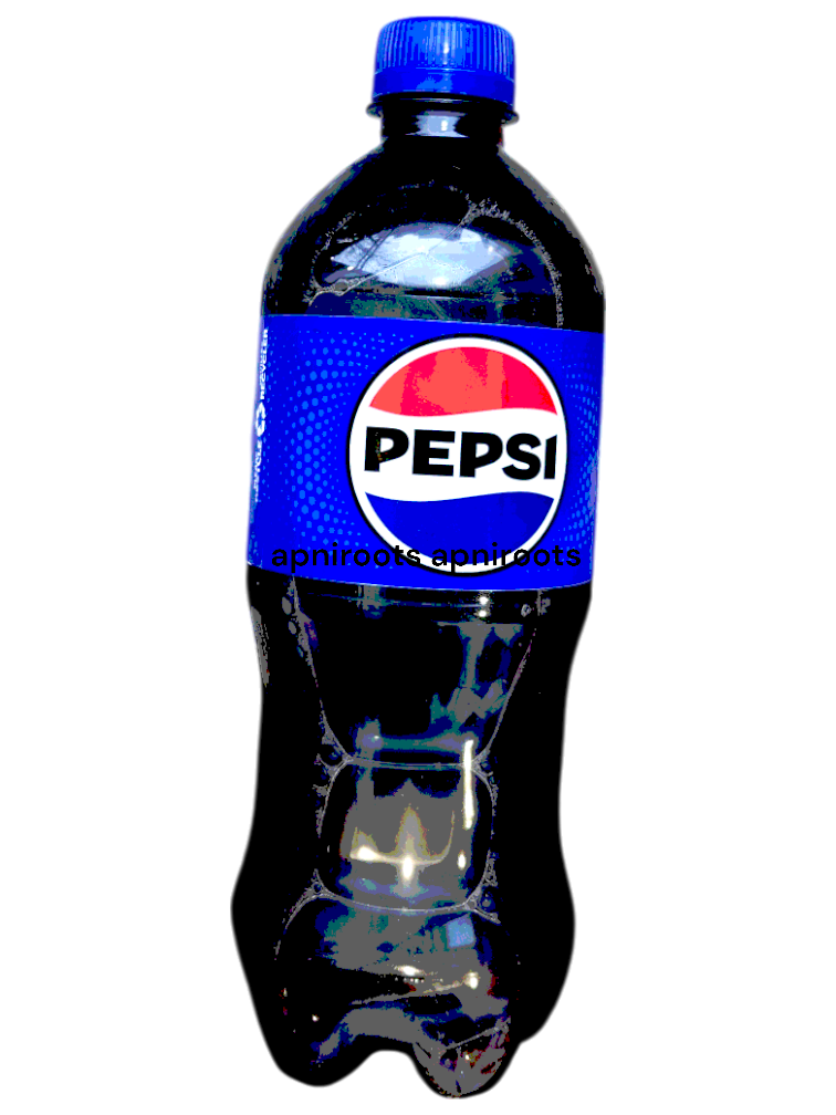 PEPSI 591ML by at apniroots Indian Grocery Store Online – apniroots Grocery