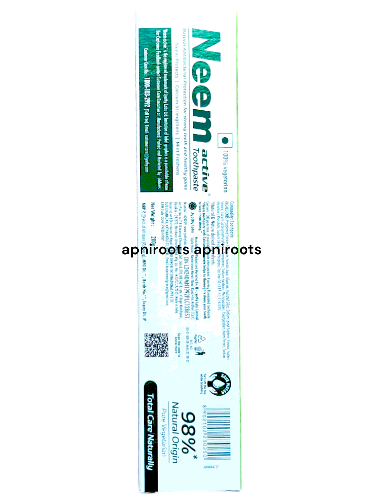 NEEM - ACTIVE TOOTHPASTE - 200GM by at apniroots Indian Grocery Store ...