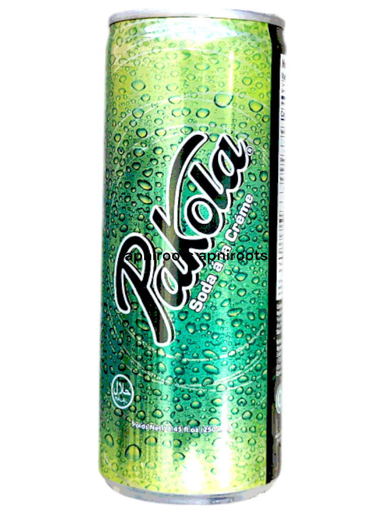 PAKOLA 250ML by at apniroots Indian Grocery Store Online – apniroots ...