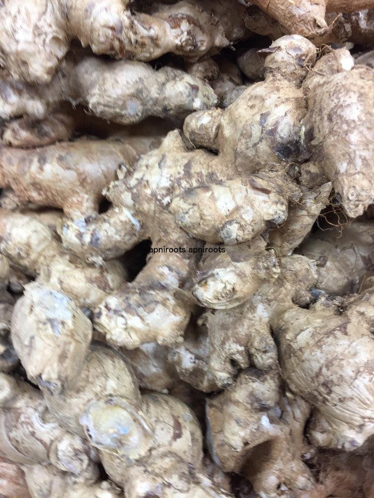 GINGER INDIAN / ORGANIC - 1LB | (2-3 pcs approx.) by at apniroots ...