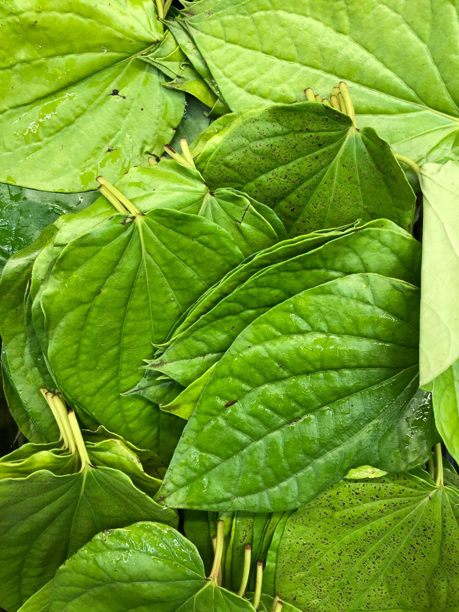PAAN LEAF - 10 leafs by at apniroots Indian Grocery Store Online ...