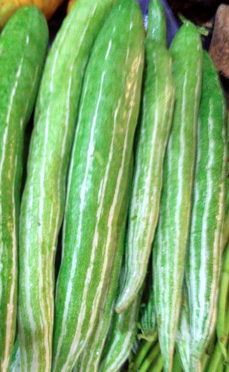 SNAKE GOURD - 1lb | (1-2 pcs approx) by at apniroots Indian Grocery ...