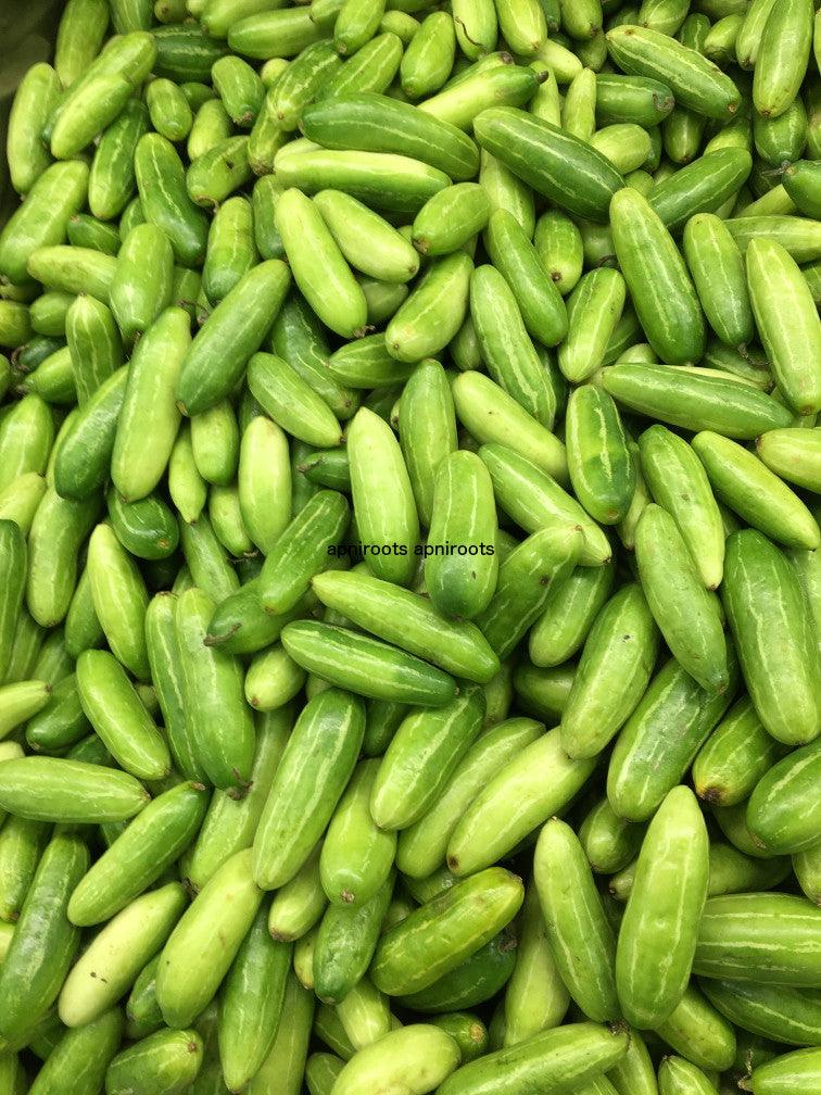 TINDORA - 1LB | (25-30 pcs approx.) by at apniroots Indian Grocery ...